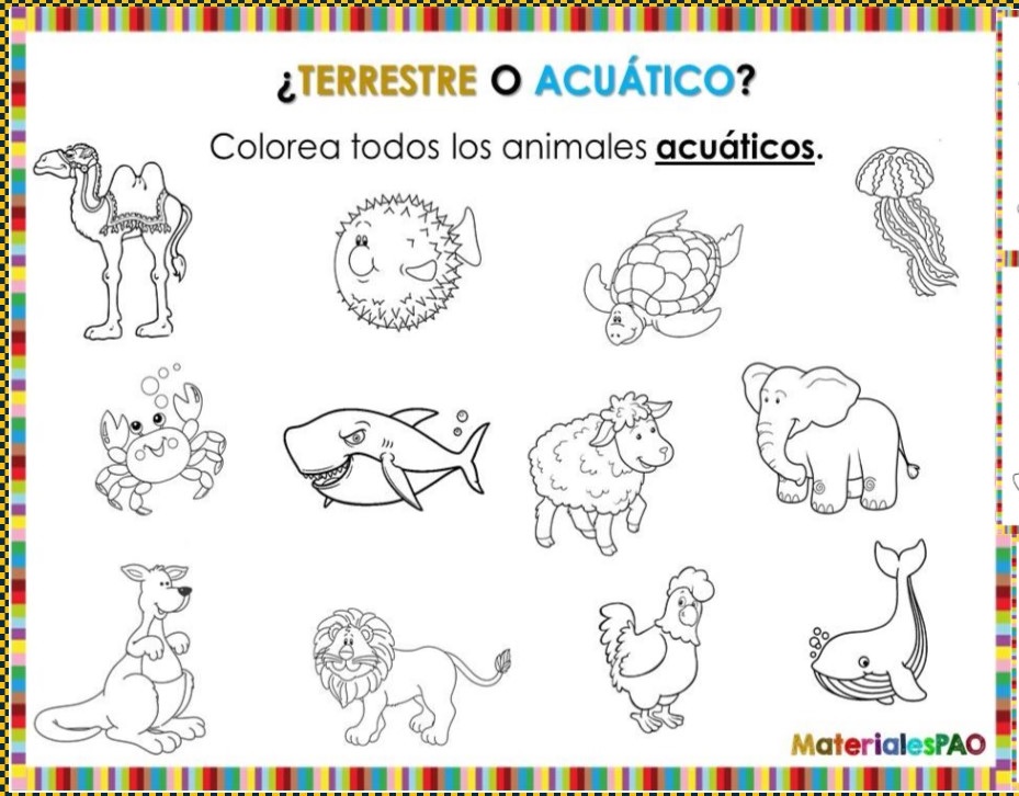 FICHAS FOTOCOPIABLES - Rincón del Alumno